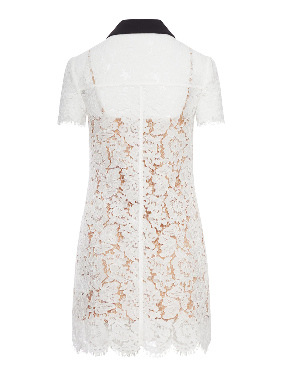 LACE MINI DRESS – Suit Negozi Row